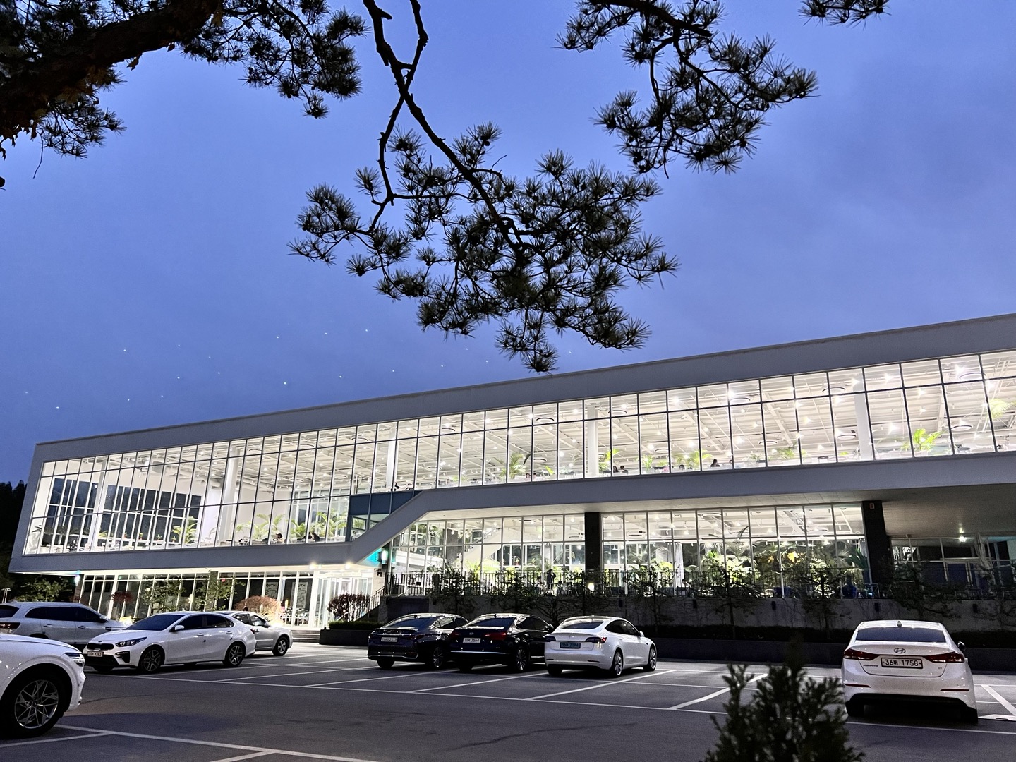 Rene (rene-hwxda) - Roboflow Universe