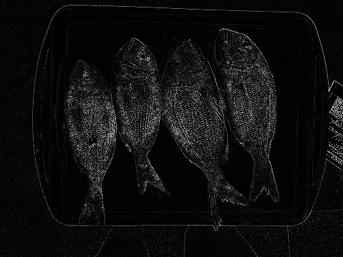 fish Object Detection Dataset by AGH Marines