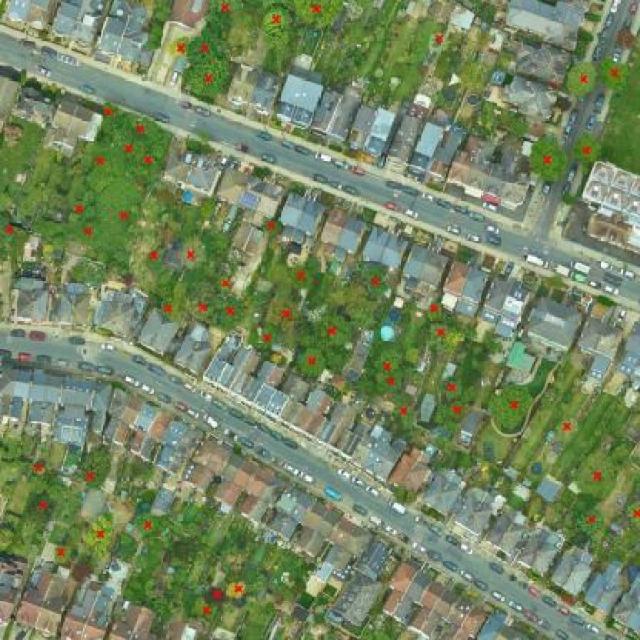 Tree Segmentation Instance Segmentation Dataset By Svprojectdatasets 5928