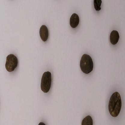 OPTIMIZED GREEN CFE BEANS Object Detection Dataset by Green Coffee Beans