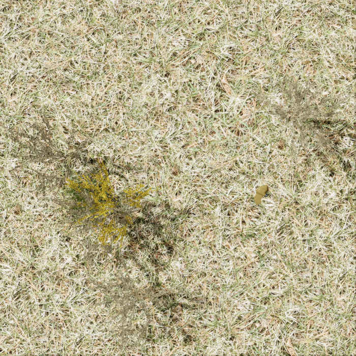 mines Object Detection Dataset by roboflowpfm1