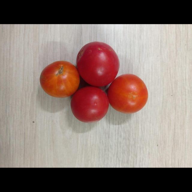 tomato annotation Instance Segmentation Dataset by hybrid seg1