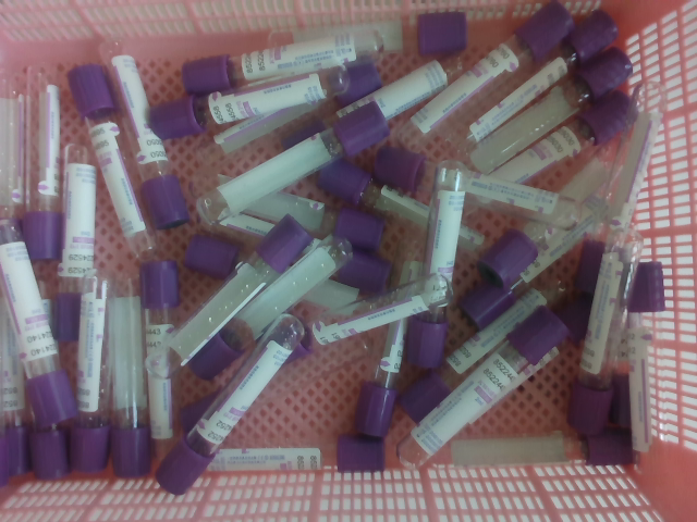 tube_seg Instance Segmentation Dataset and Pre-Trained Model by shiguan