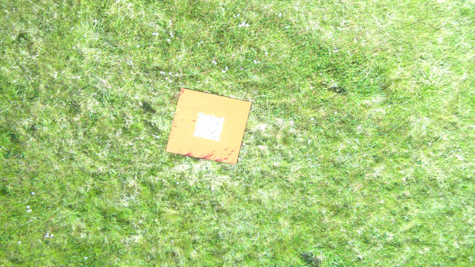 UAV_trap_detect Object Detection Dataset by train