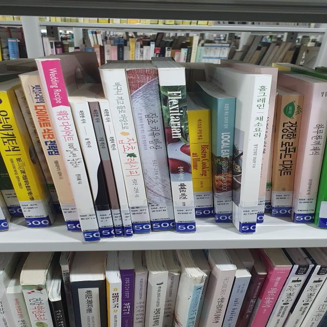 boook Instance Segmentation Model by theturtle