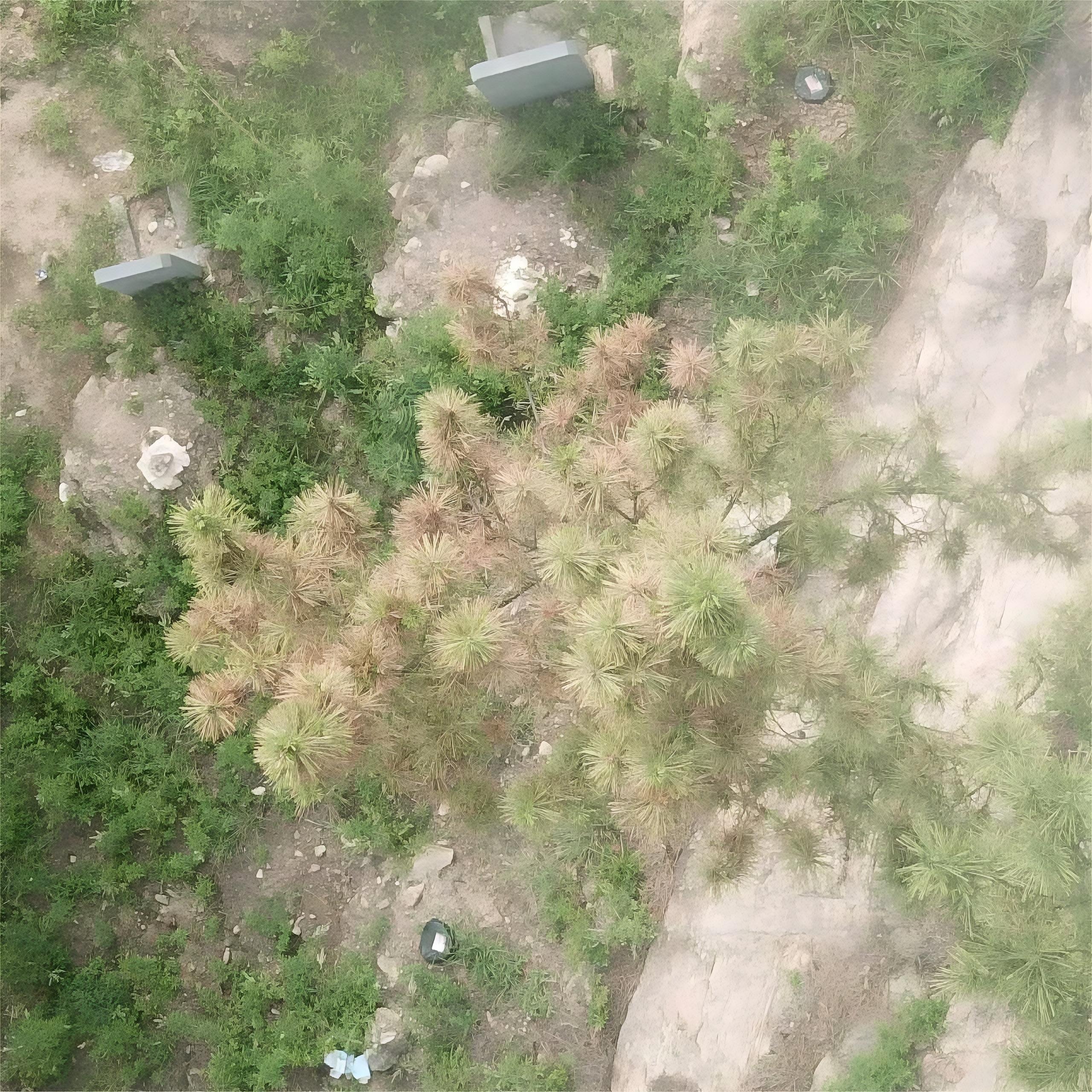 new Instance Segmentation Dataset by project-gcw5o