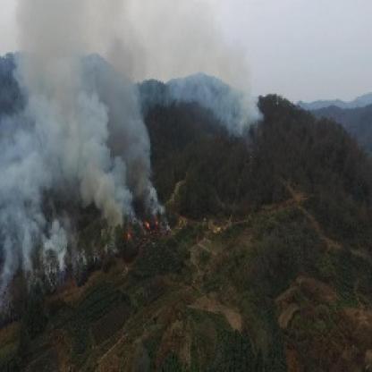 YoloV7_Multiclass Object Detection Dataset by SPROJ