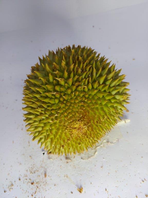 How to Use the Durian Label data Object Detection API