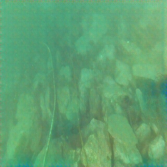 Underwater Objects Sspr Object Detection Dataset And Pre Trained Model By Yohanes Nuwara