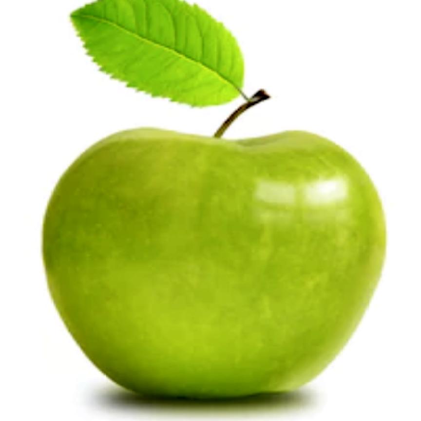 project_quality of fruit Object Detection Dataset by IOT RAPIP