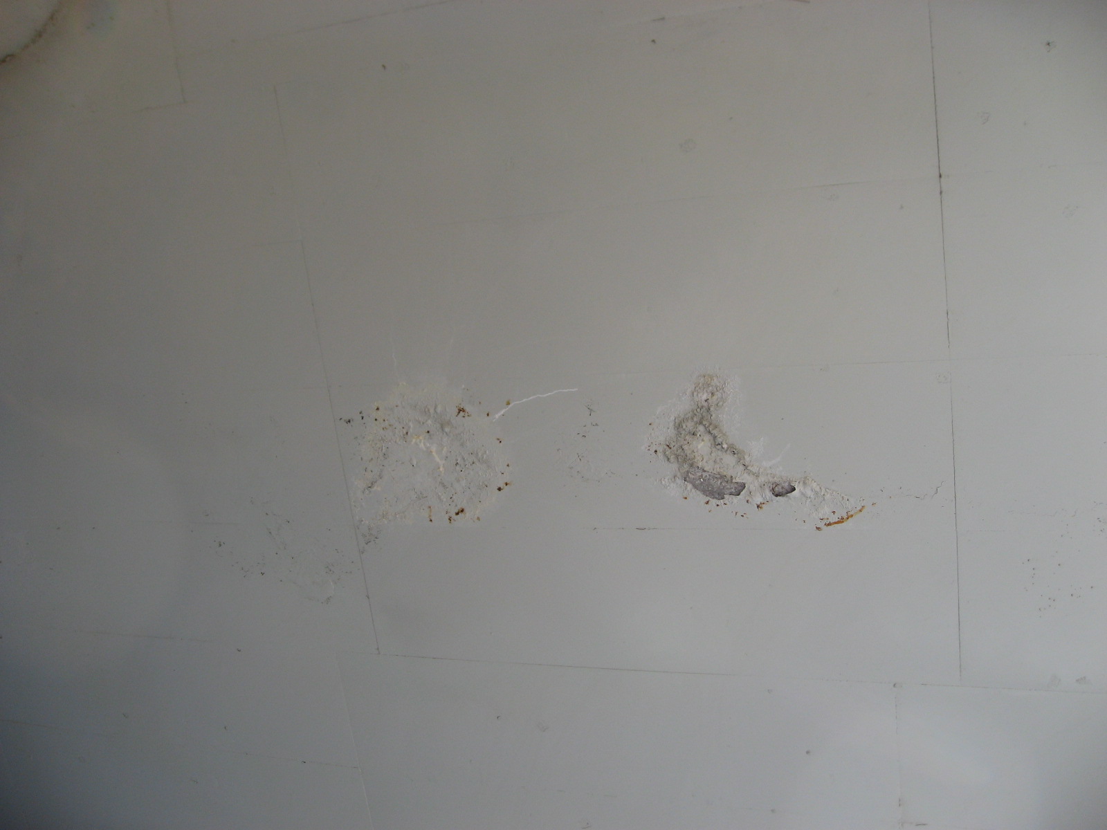 Paint Defects Object Detection Dataset by Main