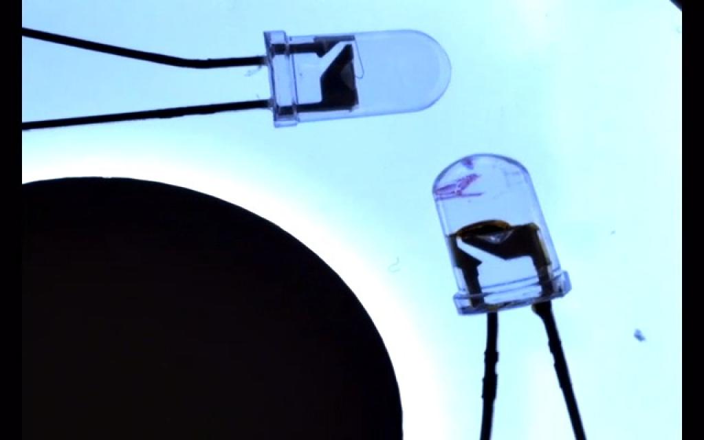 Tareks task - Roboflow Universe