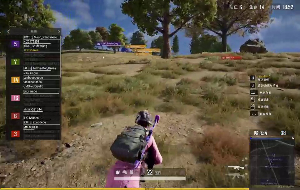 pubg Object Detection Model by aipubg