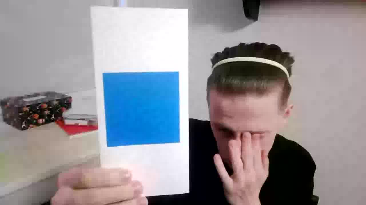 Blue_Rectangle Object Detection Dataset and Pre-Trained Model by BlueRectangle