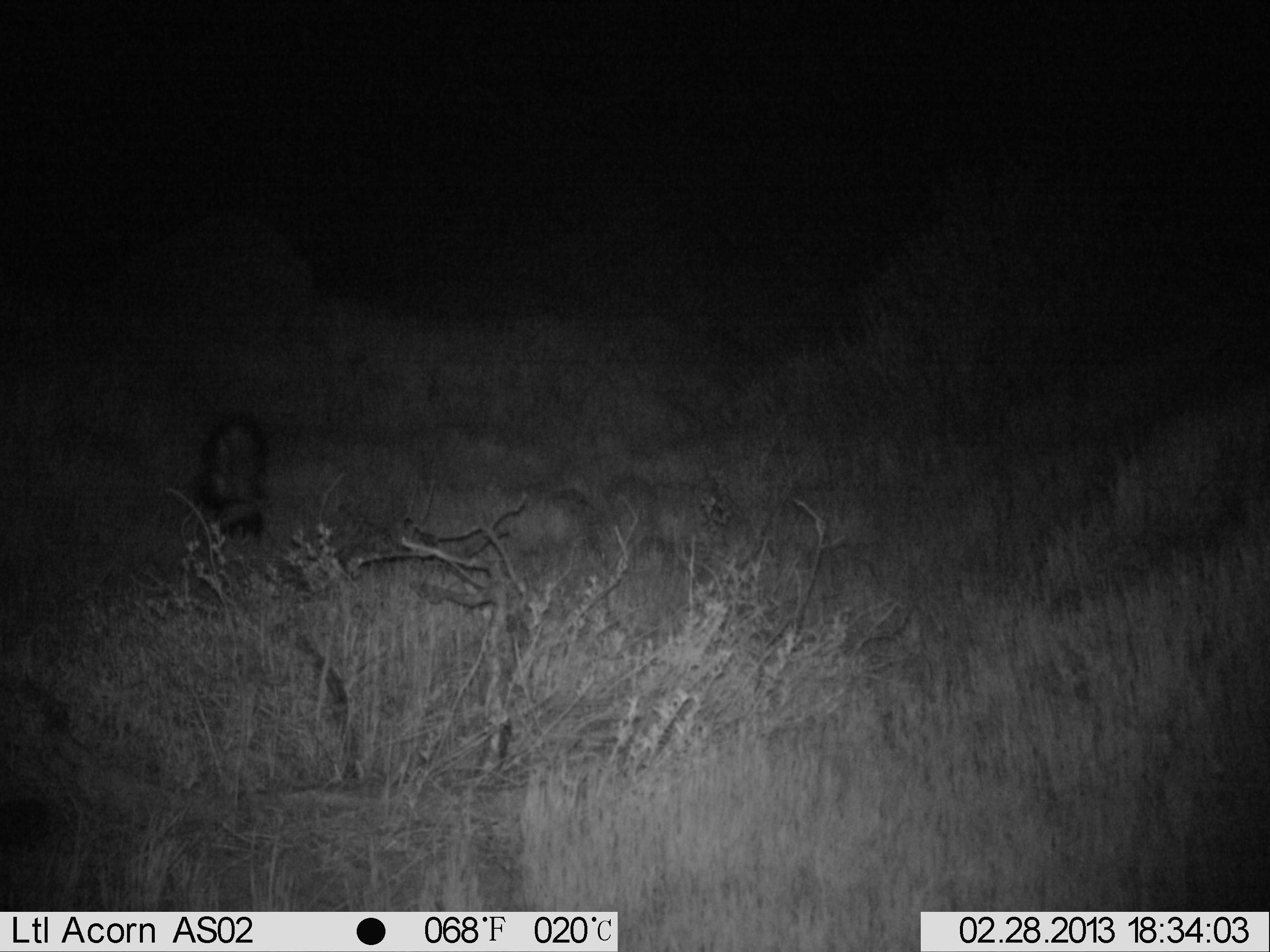 My Datasets Object Detection Dataset And Pre Trained Model By Tayfun Kok