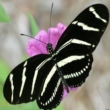 Proyecto final PDI Classification Dataset by First Workspace