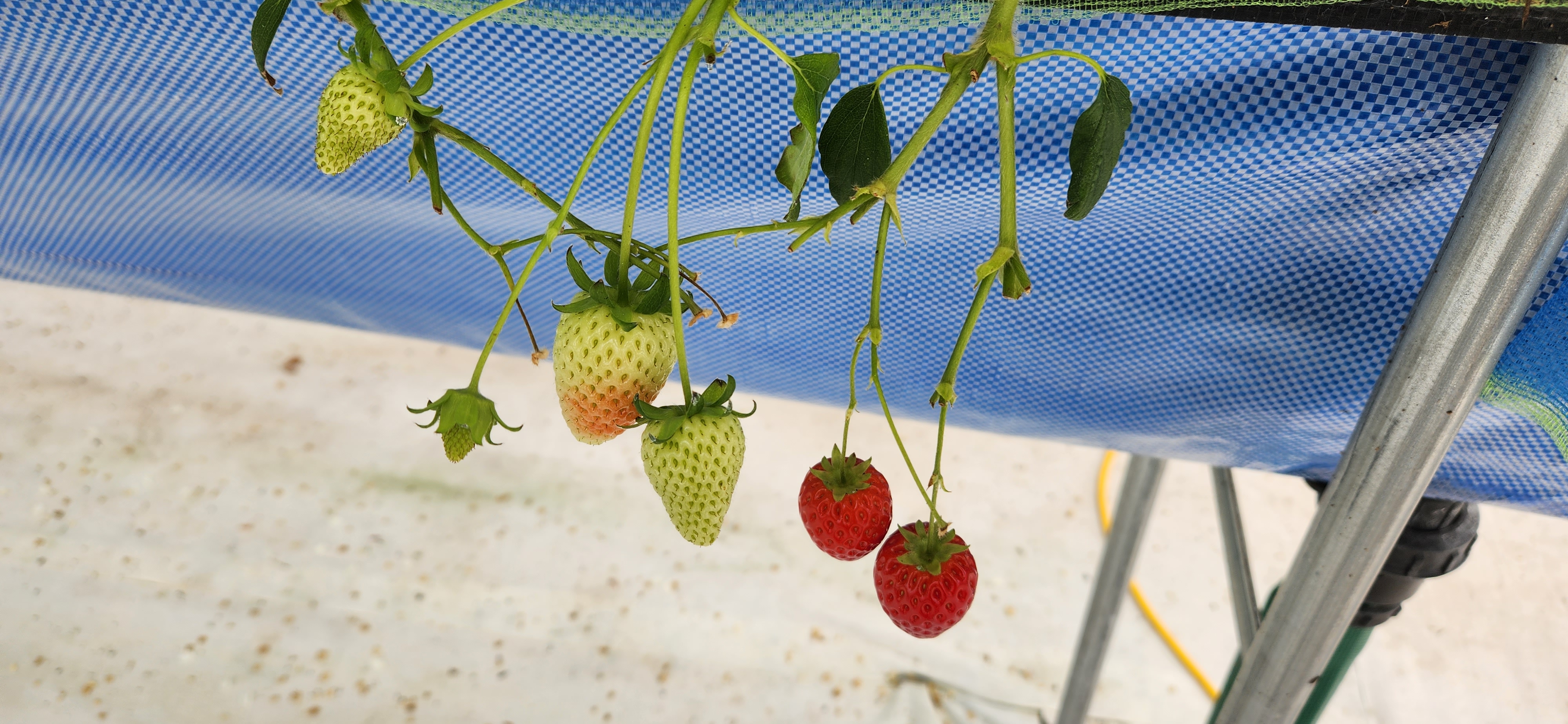 Pusan university - Roboflow Universe