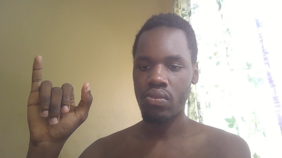 dudu Object Detection Dataset by new-workspace-wrkn0