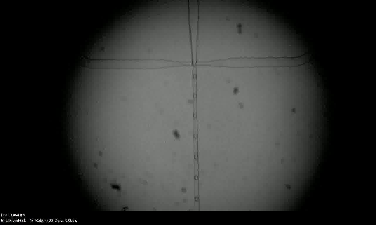 Droplet Detection Object Detection Dataset By Yolomodeltraining
