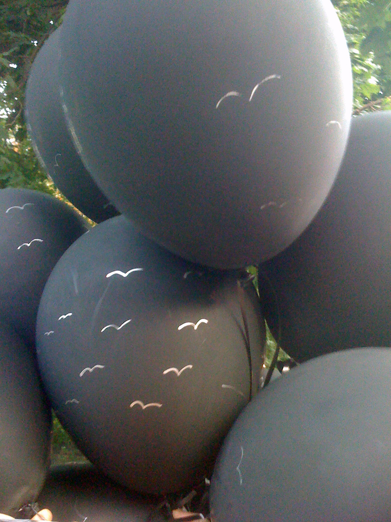 balloon Object Detection Dataset by ben