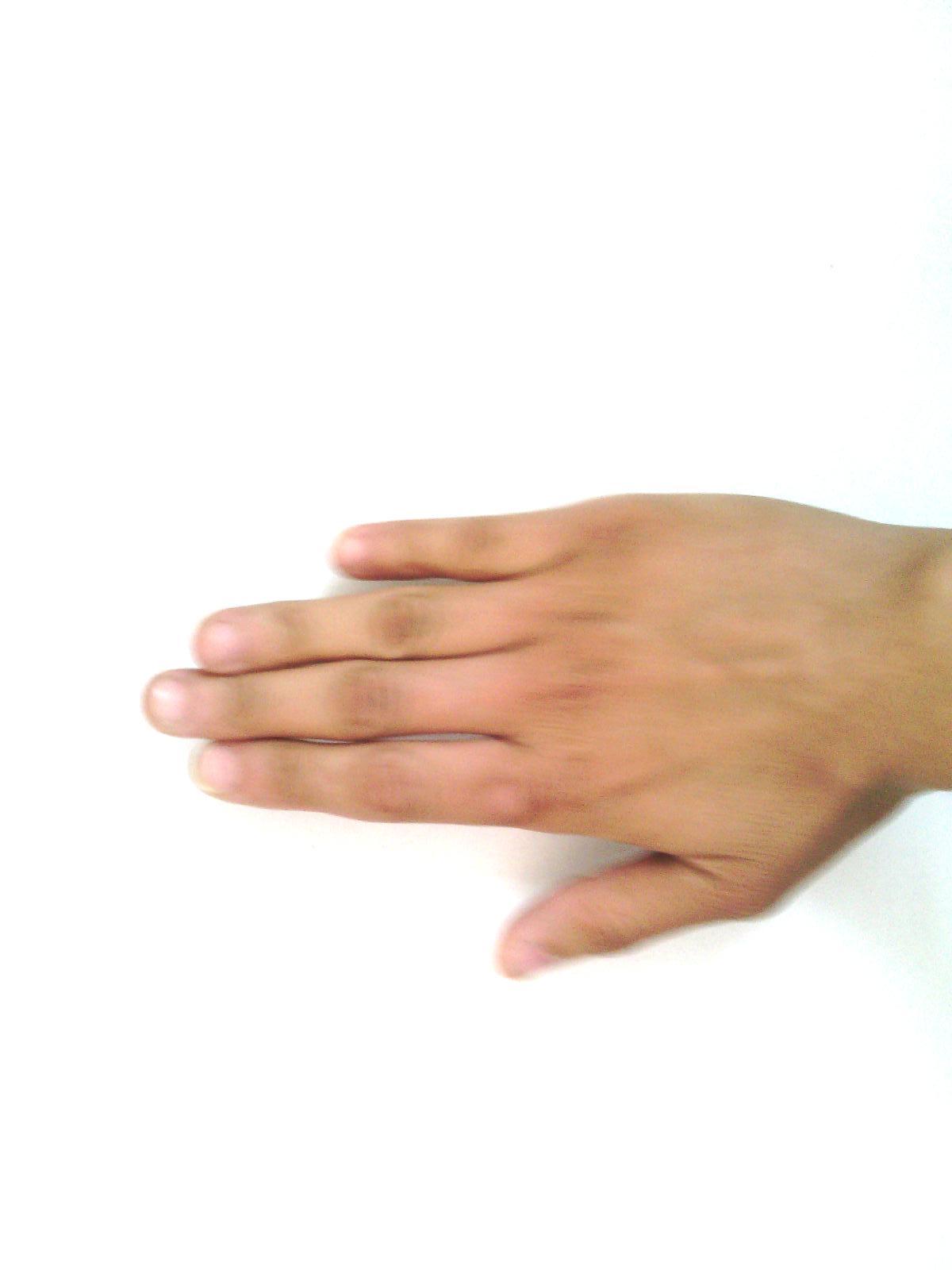 hand Detector Object Detection Dataset by Hand Annotations