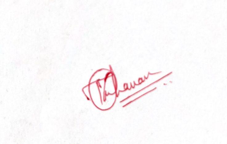 animals Object Detection Dataset and Pre-Trained Model by trainingdemo