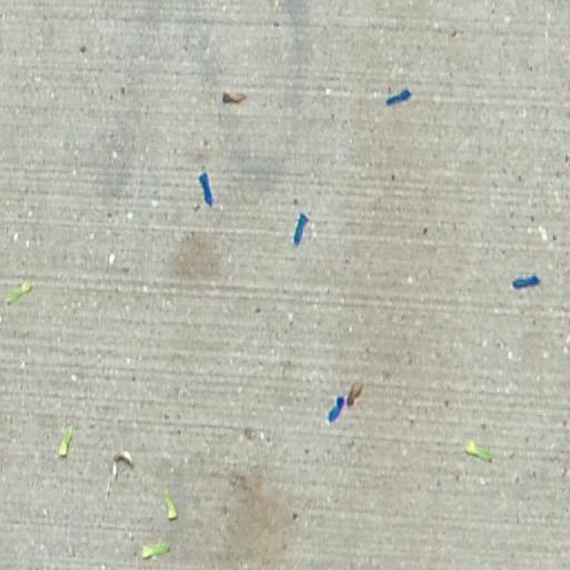 Iseed - Roboflow Universe