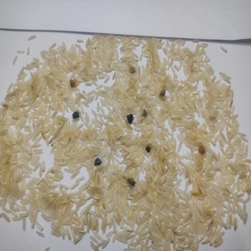 rice_pebbles Object Detection Dataset by granules