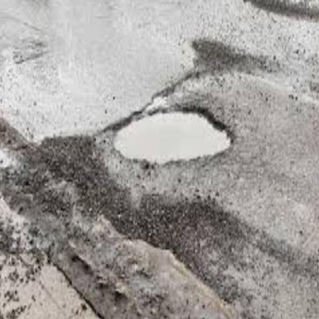 Yeni Instance Segmentation Model By Road Defect Detection