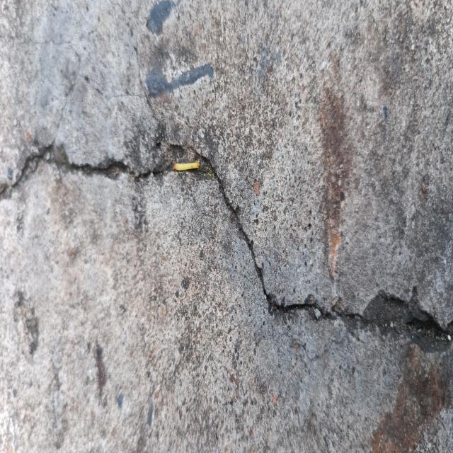 CrackDetection Instance Segmentation Dataset and Pre-Trained Model by CrackDetect