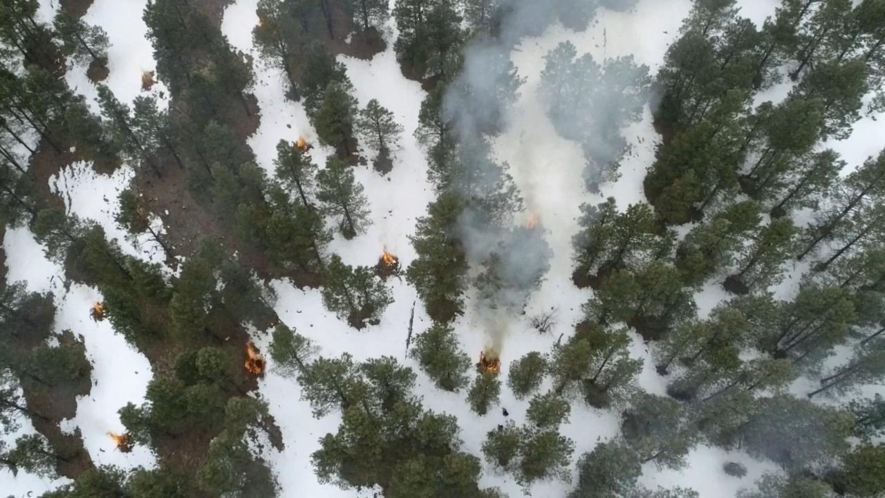 Forest Fire Detection Object Detection Dataset and Pre-Trained Model by ...