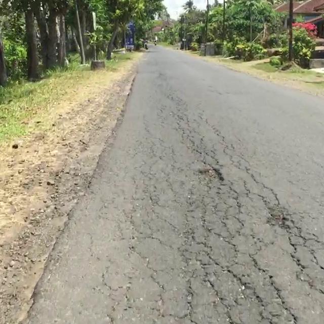 ROAD DAMAGE Dataset Object Detection Model by F