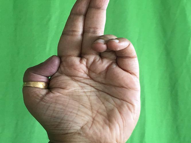 Dance Mudras-YOLO V8 Object Detection Model by Mudras