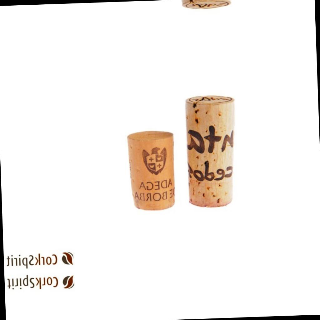 Corks Dataset Object Detection Dataset By Garbage Detection