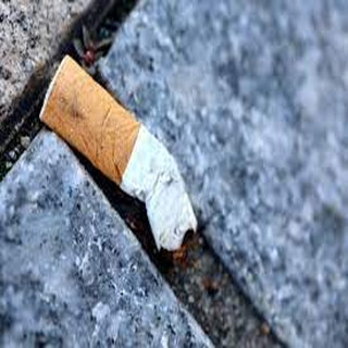 tabacco Object Detection Dataset by Mitsuki Kimura