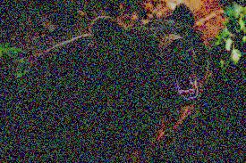 Wild Animal Detection (wild-animal-detection-mc589) - Roboflow Universe