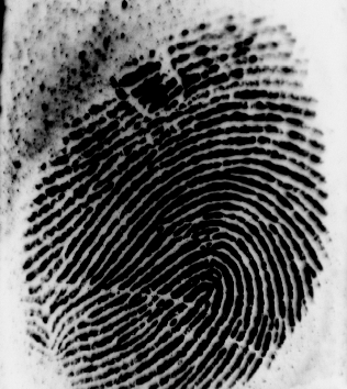 fingerprint (fingerprint-qxyns) - Roboflow Universe