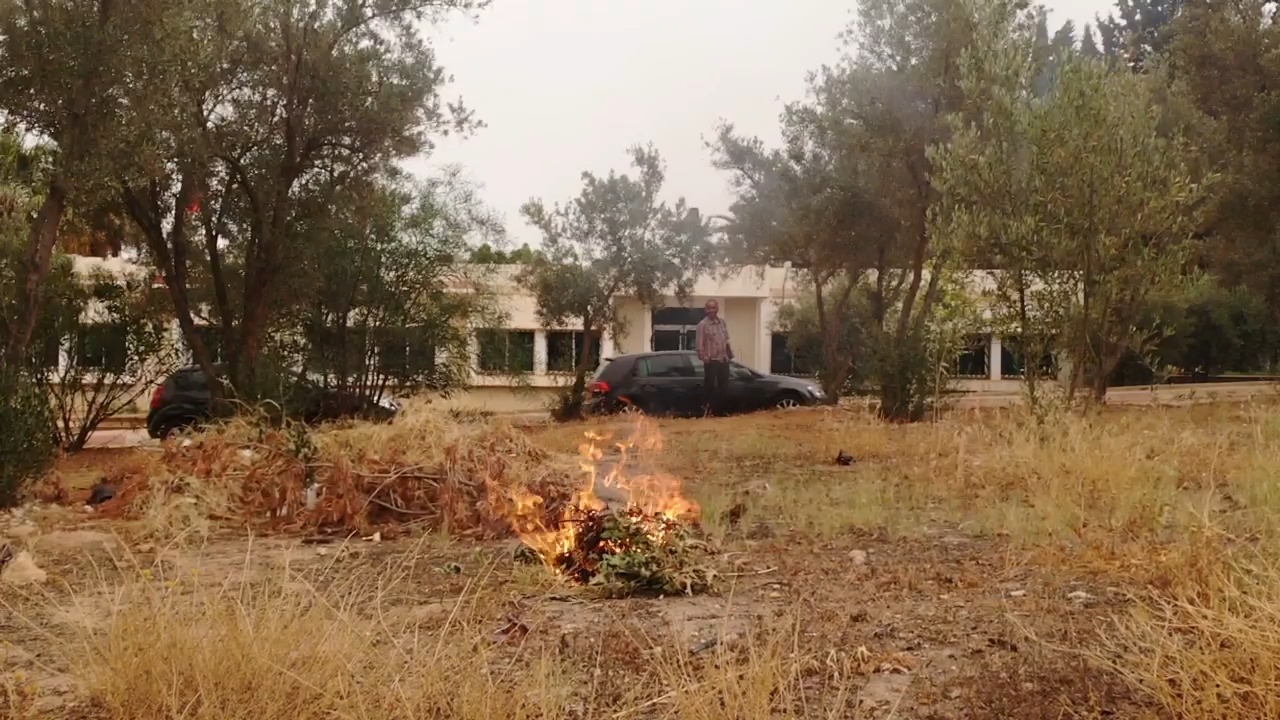 Fire2 Object Detection Dataset by Forest