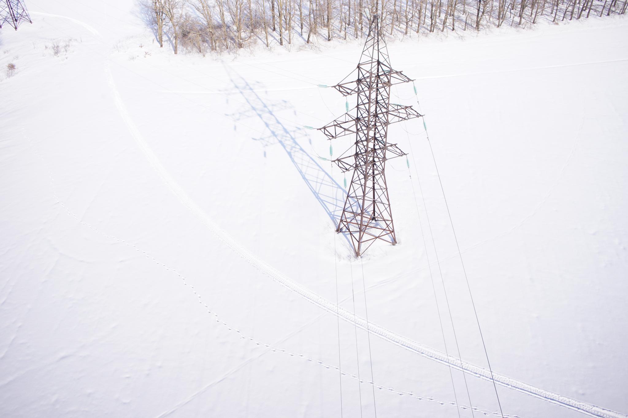 Segmentation Semantic Segmentation Dataset And Pre Trained Model By Project Oxwbb