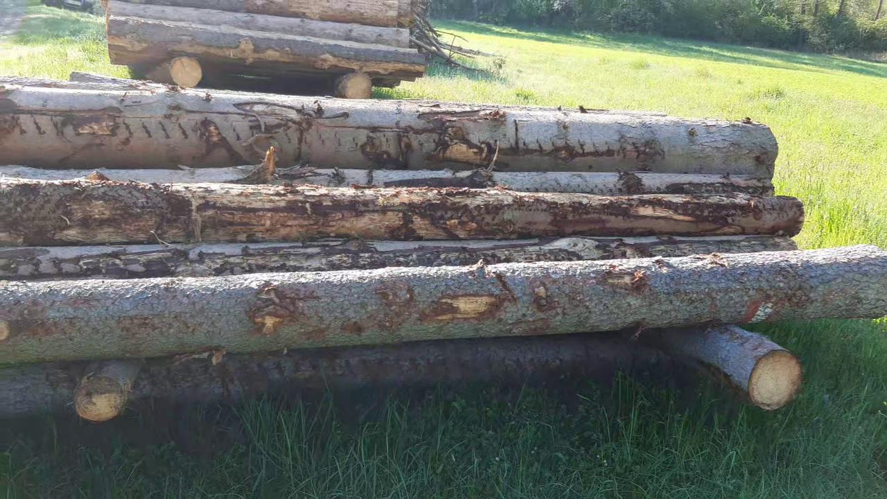 log Object Detection Model by HTL Wolfsberg