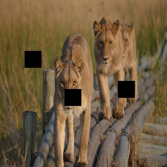 Final Final Object Detection Dataset By Jimin