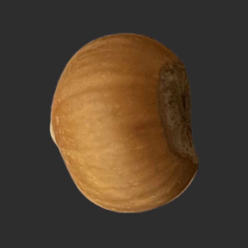 Machine Vision (machine-vision-l47fp) - Roboflow Universe