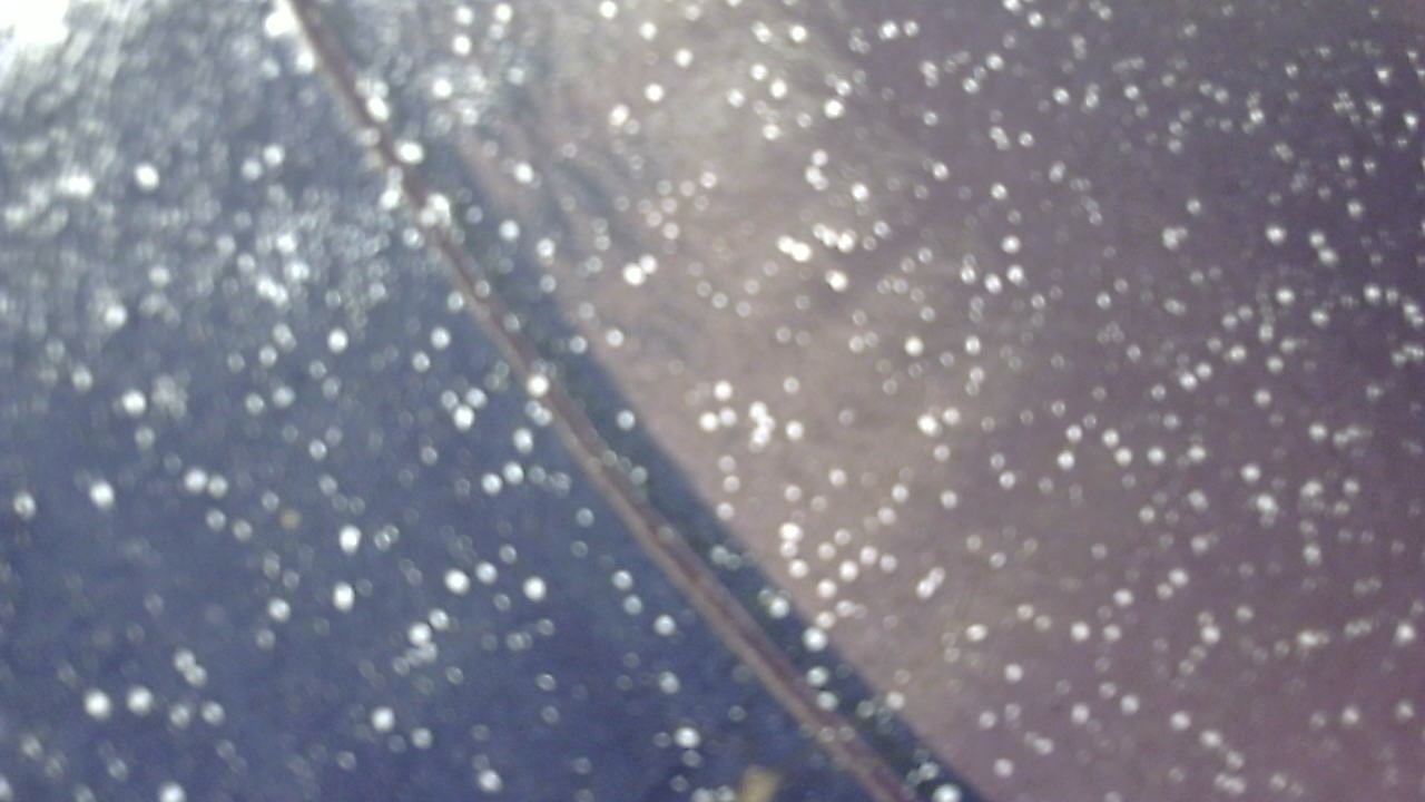 Project 5 Instance Segmentation Dataset by New