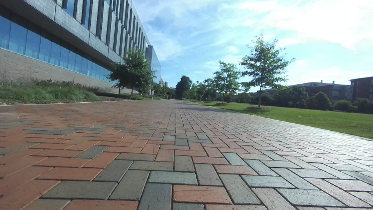 Project Oval (project-oval-a0agt) - Roboflow Universe