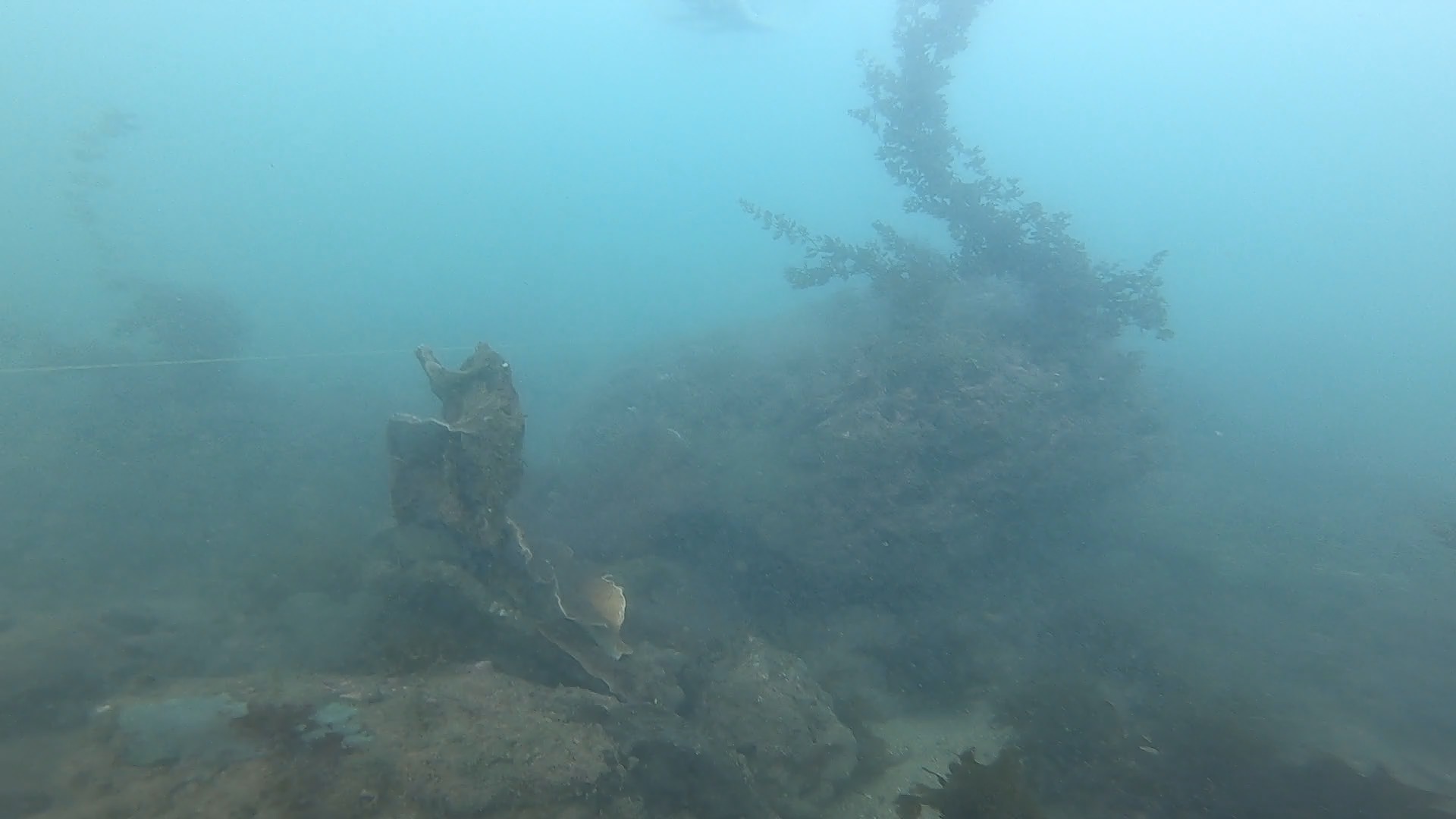 Fyp Underwater Object Detection Object Detection Dataset By Final Year