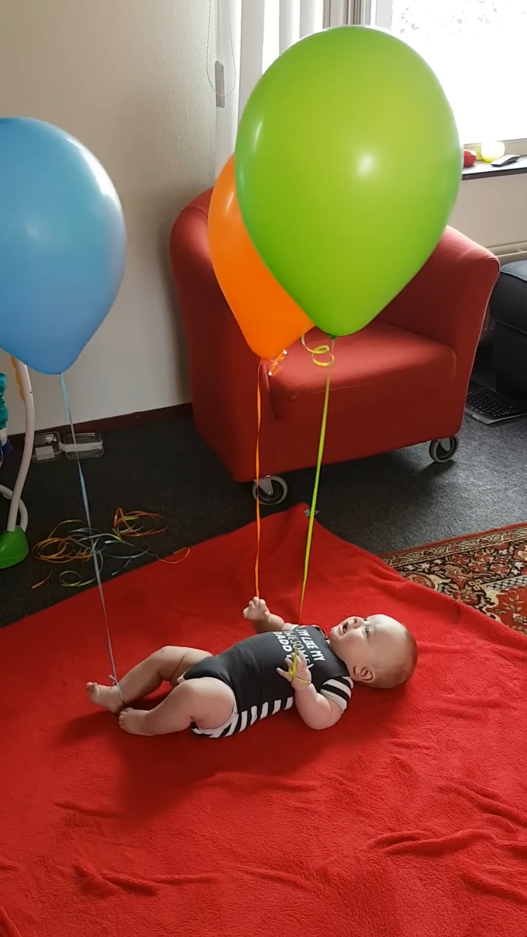 Balloon Detection Object Detection Model By Merrt