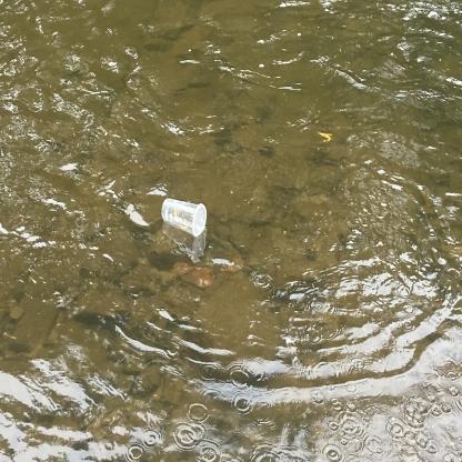 litter Object Detection Model by wengyu