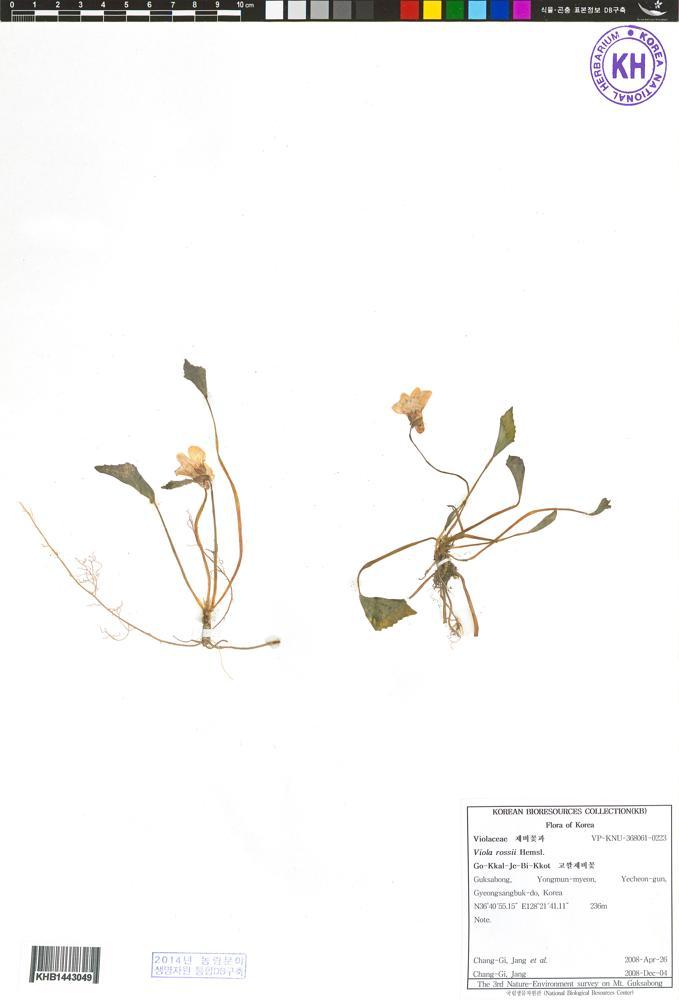 Plant Detection Object Detection Dataset And Pre Trained Model By New