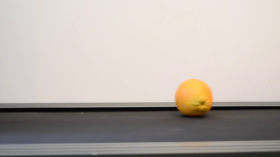 fruit-detection Object Detection Dataset by Atharvalabeling