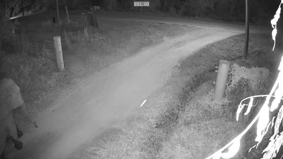 Elephant In Night Object Detection Dataset By Thai Elephant Dataset